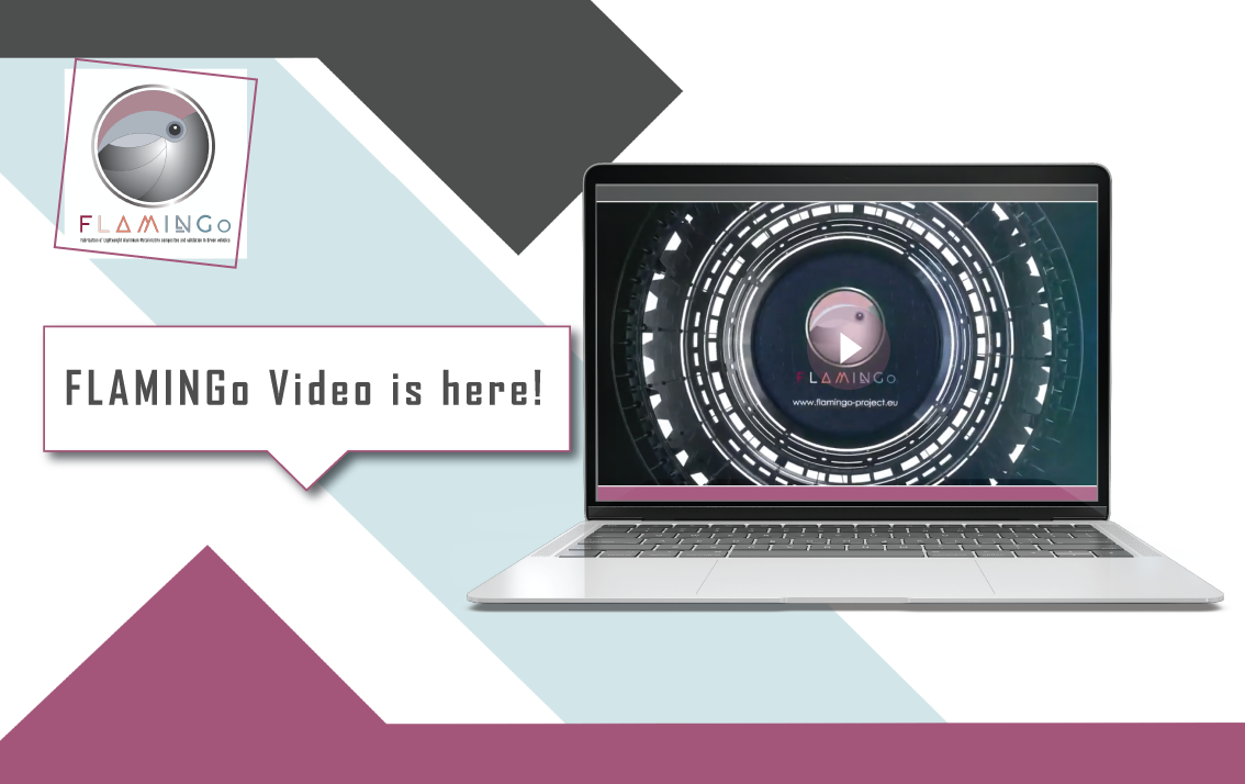 FLAMINGo Informative Video - The FLAMINGo Project