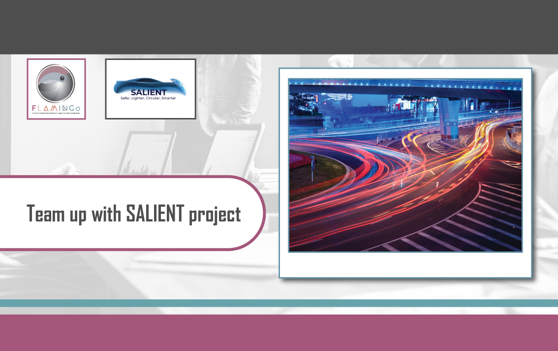 FLAMINGo and SALIENT Teams Up - The FLAMINGo Project